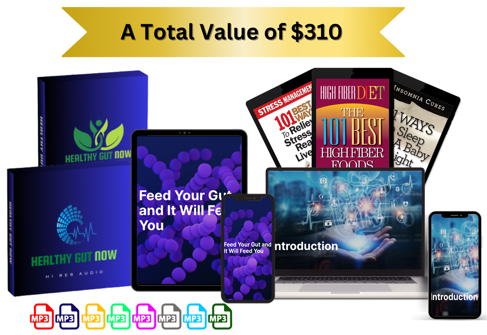 Healthy Gut Now Entire Mockup