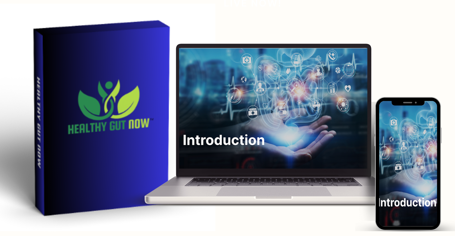 Healthy Gut Now Video Mockup